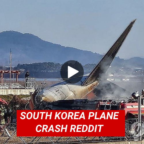 Stream Full: South Korea Plane Crash News Video Wikipedia by Plane ...