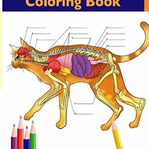 Stream PDF Download Cat Anatomy Coloring Book: Incredibly Detailed Self ...