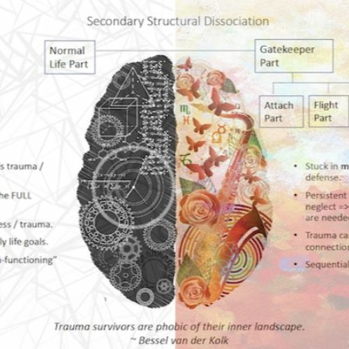 Stream episode THE STRUCTURAL DISSOCIATION MODEL (10/19/2023) by ...