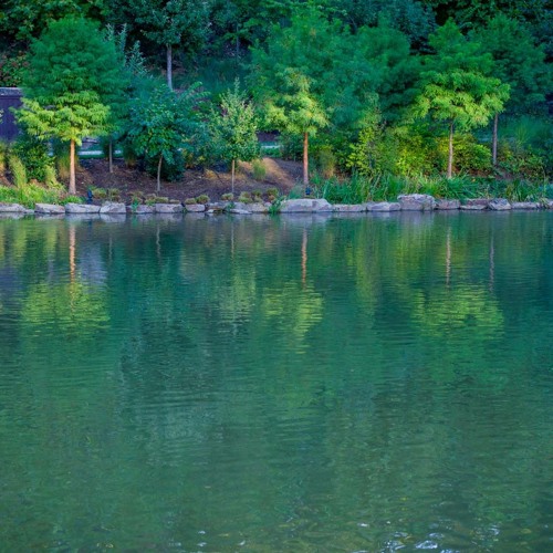 Stream The Weir System of the Dams by Crystal Bridges Museum of ...