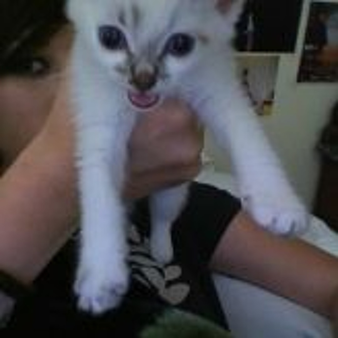 Stream duet by g0r3 troubledteen- Moneyonthefloor (prod Mastercard2k ...