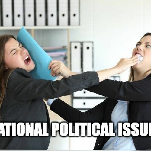 Stream (Spring 2024) POSC 3330 National Political Issues-Economic ...