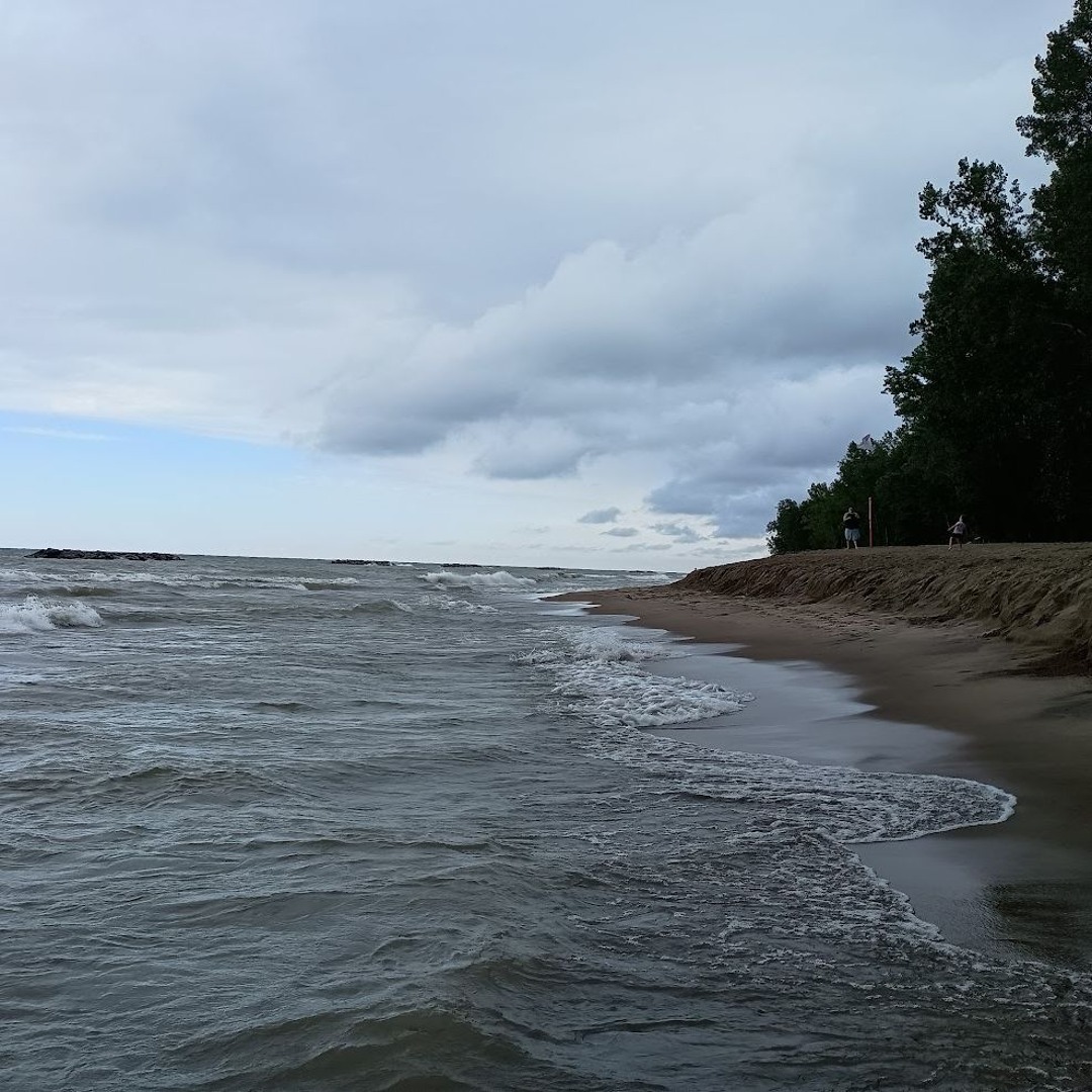 Stream Pineapple Island by Nico Ricci | Listen online for free on ...