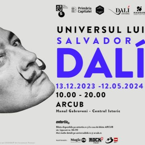 Stream episode Interviu cu Raluca Ganea, ARCUB by ...