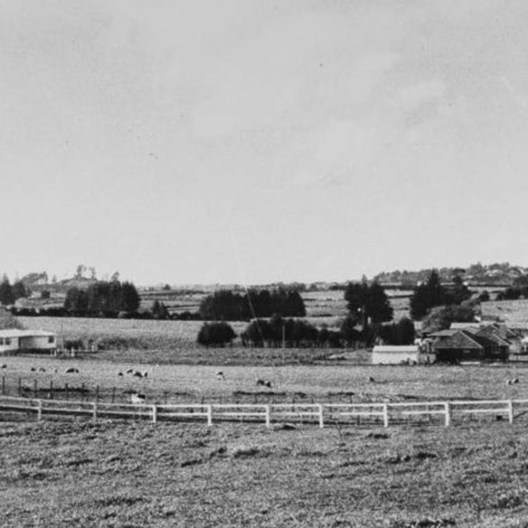 Stream Ray and Lindsey Vickers - Community and Entertainment by Ngā ...