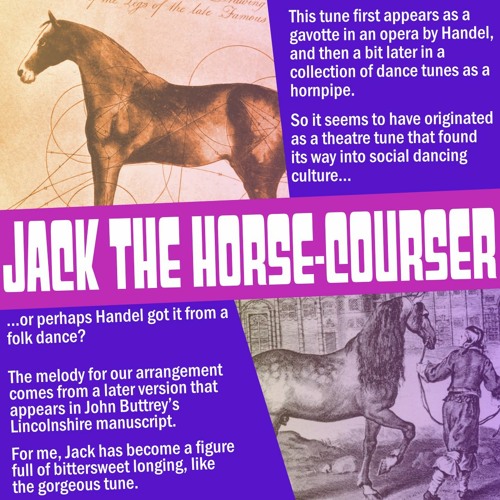Courser Horse