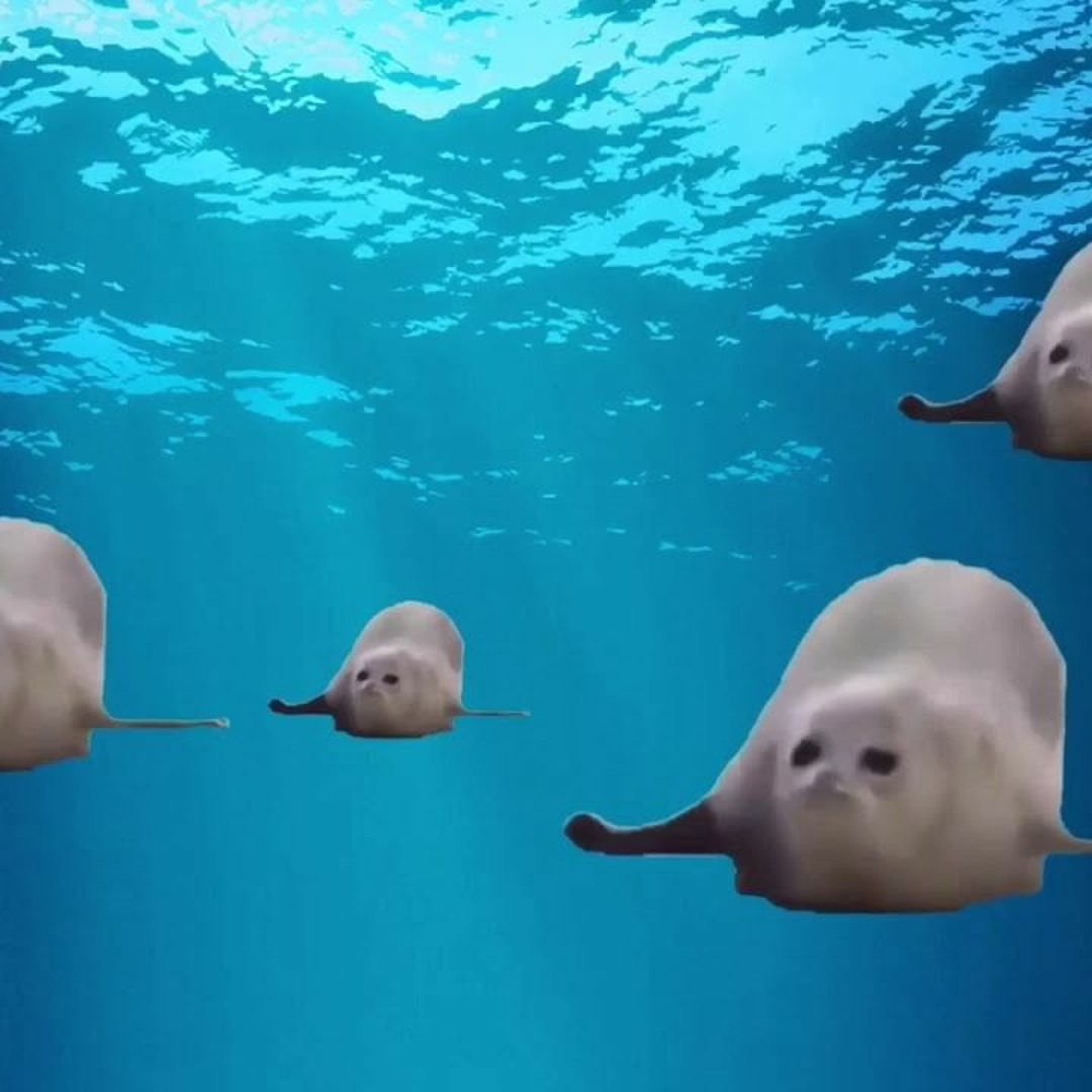 Stream 10 Minutes Of Bouncing Seals by Serminthecat | Listen online for ...