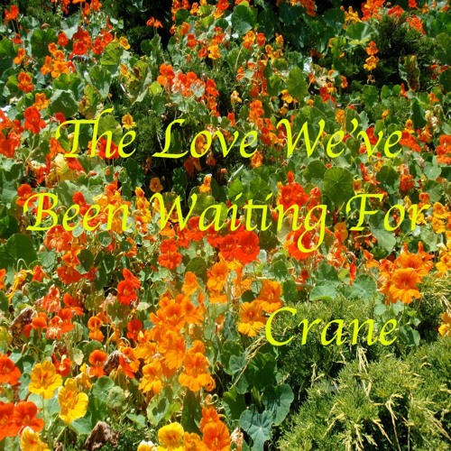 Stream The Love We're Been Waiting For by Euphoria's Destination ...