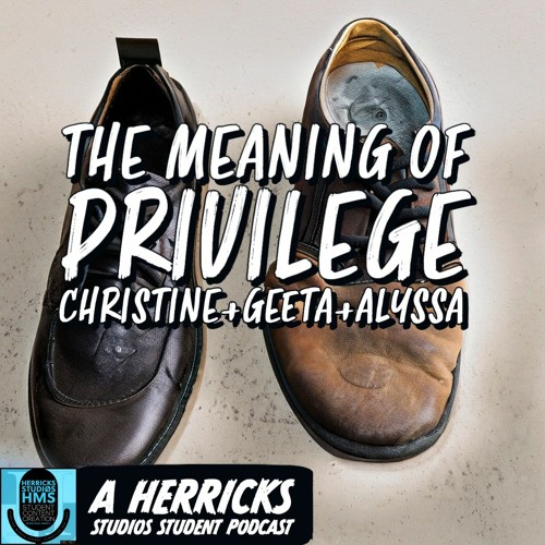 Stream The Meaning of Privilege by Christina, Geeta & Alyssa by ...