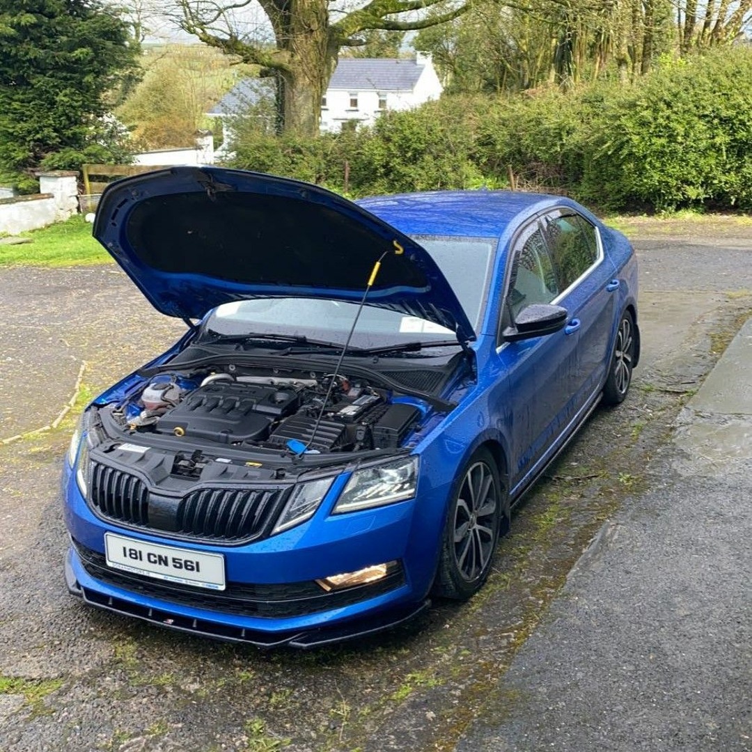 Stream Straight and Narrow by Dylan gorman 😝 | Listen online for free ...