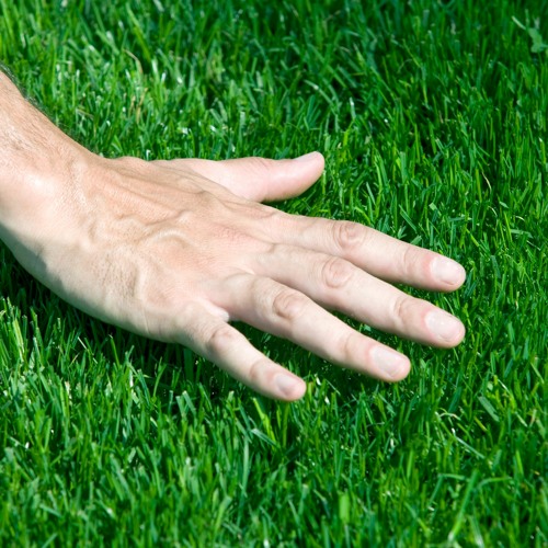 Stream Dont Touch Grass By Lil Ac 130 Listen Online For Free On Soundcloud