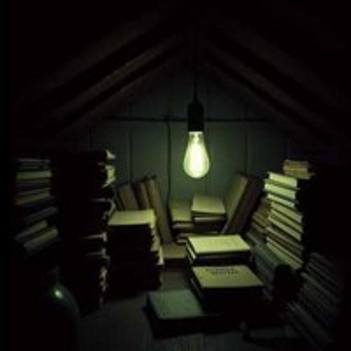 Stream Anne Frank Wasn't Blind by ingloriousfarter | Listen online for ...