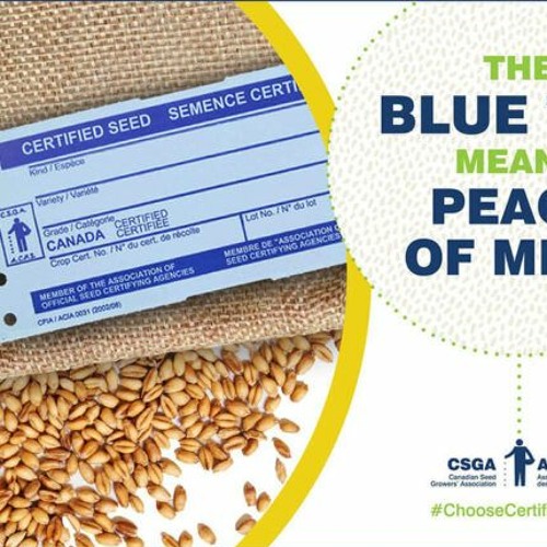 Stream CSGA's Blue-Certified Tag Goes Digital by RRC soundbites ...