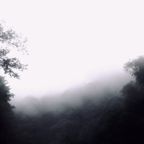 Stream Avidyā Mist (2021) by Chih-Yun Wang | Listen online for free on ...