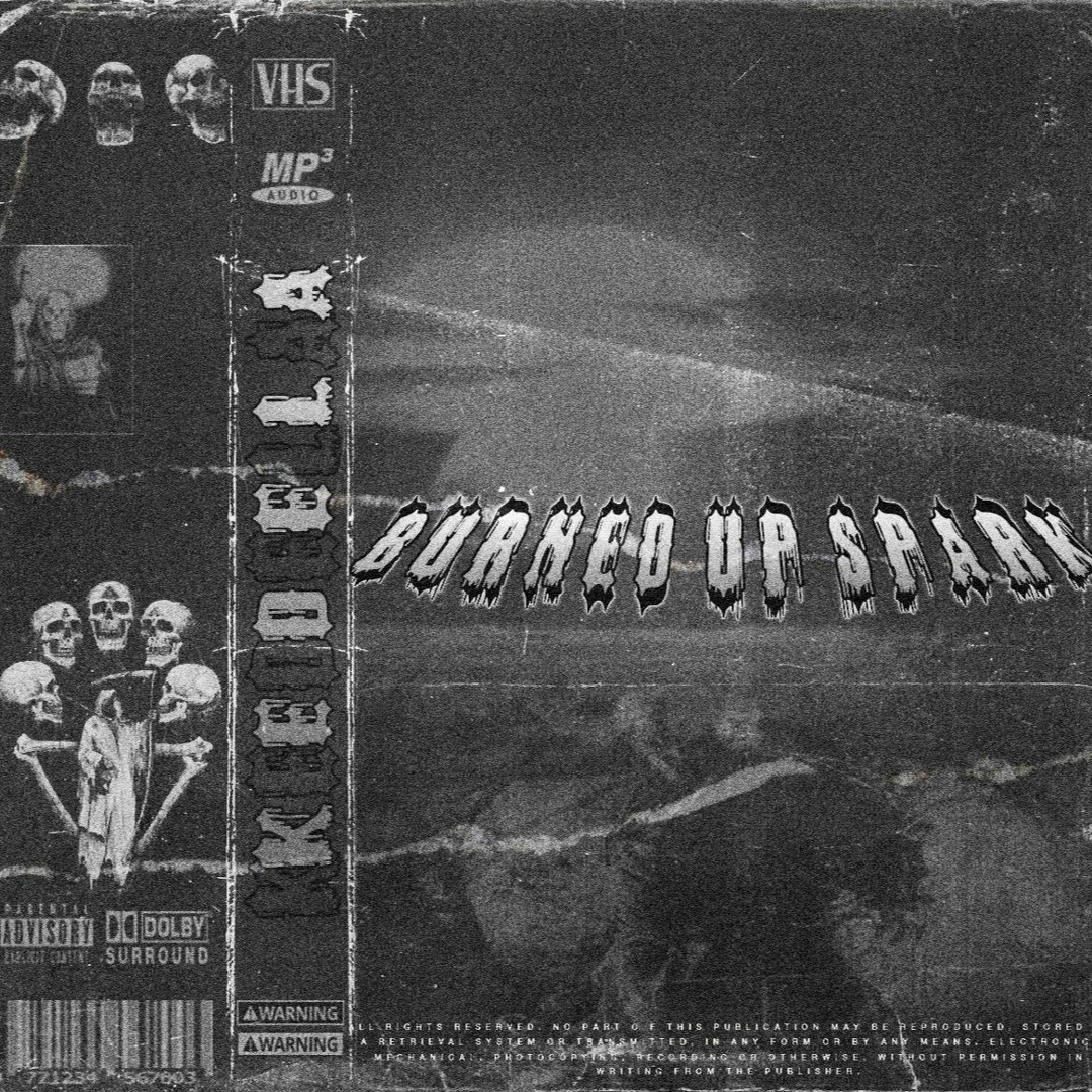 Stream KEDELA - BURNED UP SPARK by KEDELA | Listen online for free on ...