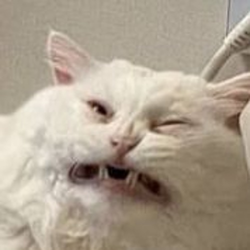 Stream Darkie | Listen to gege playlist online for free on SoundCloud