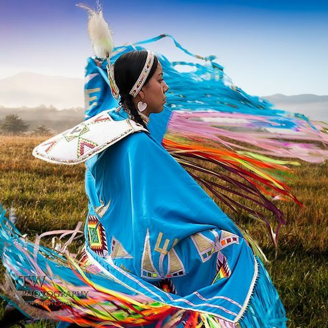 Stream Fitz - Indigemix - Medicine Journey Dance Set 1 by Fitz | Listen ...
