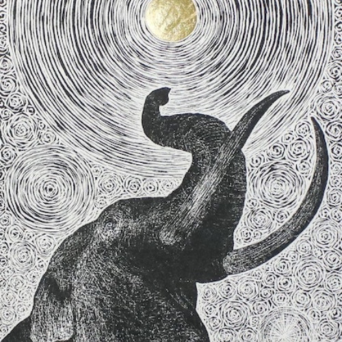 Stream Elephant by Steve L | Listen online for free on SoundCloud