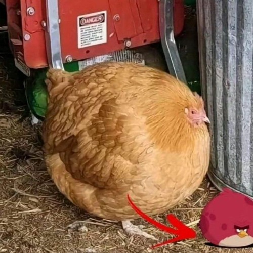 Stream Sticking Out Your Gyatt X Chamber Of Reflection by Obama ...