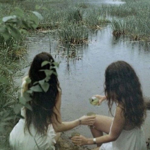 Stream duster me and the birds by babypinkbehelit | Listen online for ...