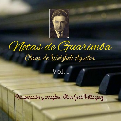 Stream Alvin José Velásquez | Listen to Notas de Guarimba Vol I ...