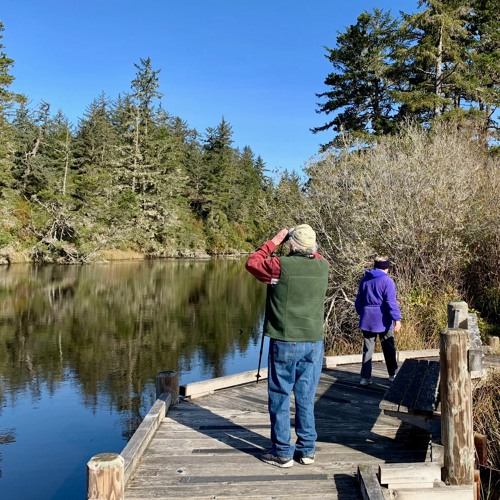 Stream episode Guide to Oregon Coast Birding with Jim Ott, Shel Neal ...