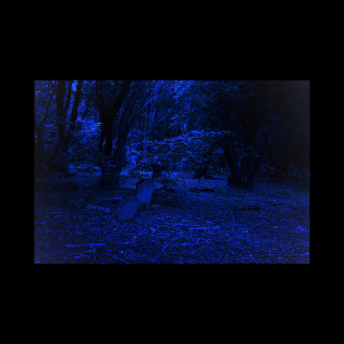 Stream Winter Grave by Bryan Edwards | Listen online for free on SoundCloud