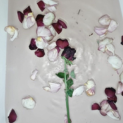 Stream Shay C - Coming Home (Official Audio).m4a by Shay C | Listen ...