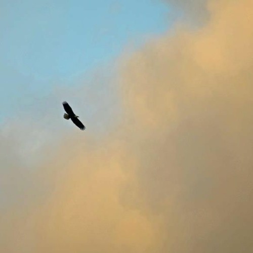 Stream Queen Of The World by Christopher Kinman | Listen online for ...