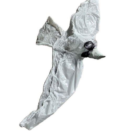 Stream snail highway - 'a Dystopian Poem' by Sáof | Listen online for ...