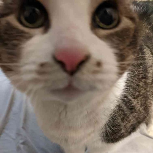 Stream Sparta Execution "GRE DFE" Base by durph ULTRA | Listen online ...