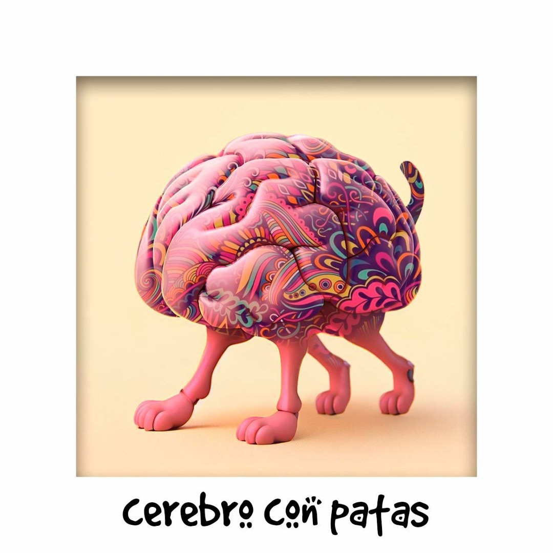 Stream Respeto, convivencia y responsabilidad multiespecie | Cerebro ...