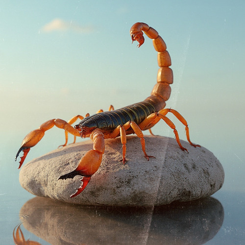 Stream Scorpio Season MIX VOL II by La Diabla aka Blend Affect | Listen ...