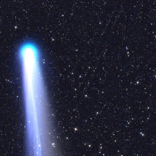 Stream wha? prod. kite by brylxnd | Listen online for free on SoundCloud