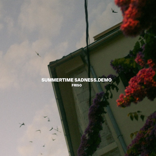 Summertime Sadness Quotes