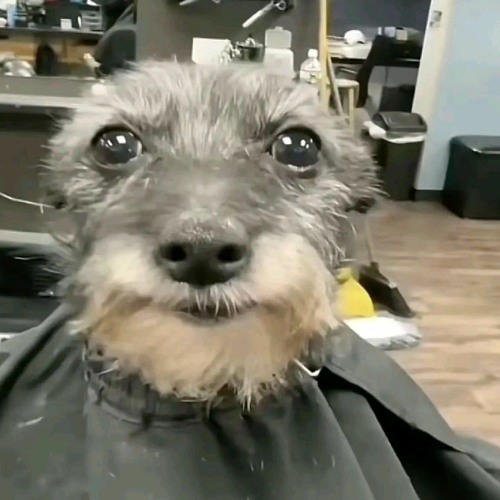 Stream the rake_kill edition armageddon by TesticleTickler69 | Listen ...