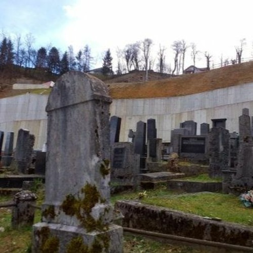 Stream Barbara Turza – život bez Herte, smrt bez groba by P-portal ...