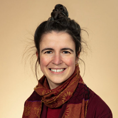 Stream Entrevue avec Véronique Gagnon sur le PDZA Val-Saint-François by ...