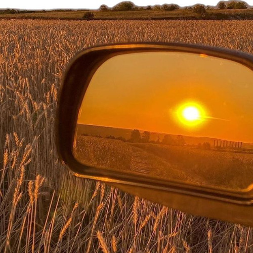 Stream Golden Days (金色回忆) (1.08x) by Nancy | Listen online for free on ...