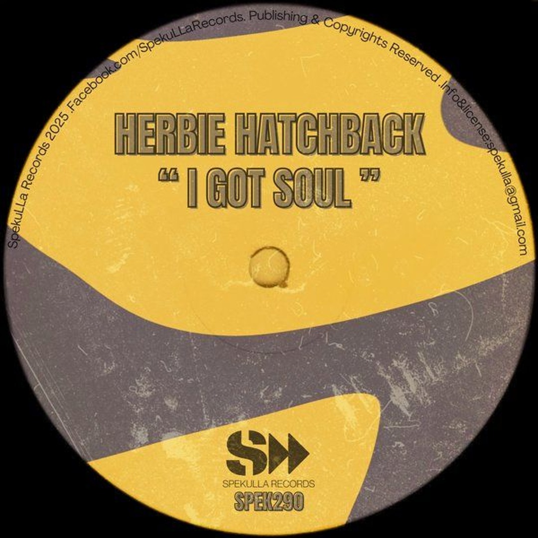 Stream I Got Soul (Extended Mix) by Herbie Hatchback | Listen online ...