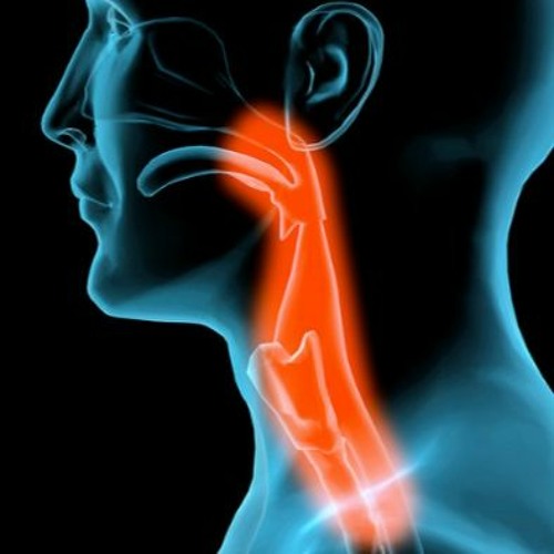 Stream episode Geert Kersten - Multikine Immunotherapy Interview on ...