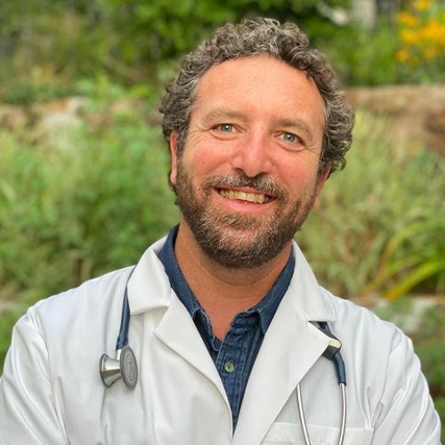 Stream Joint Pain Management With Dr. Joshua Levitt by The Health Hub ...