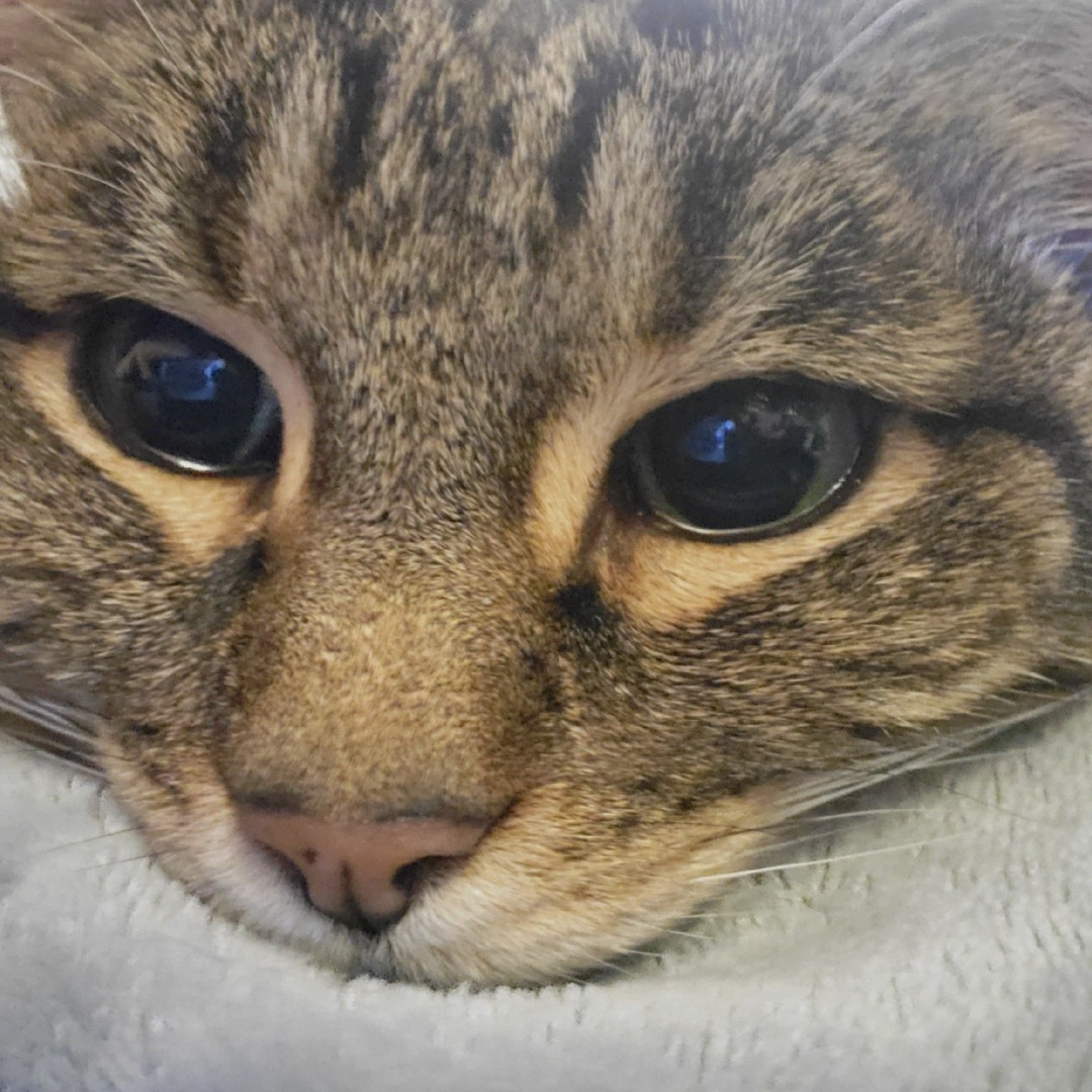 Stream swingset slowed i like it more than normal speed by purity ...