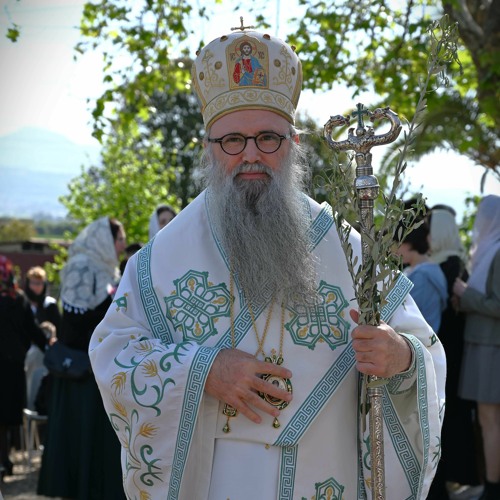 Stream Predica PS Siluan - Intrarea Domnului în Ierusalim - 28 aprilie ...