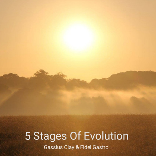 Stream 5 Stages Of Evolution by Gassius Clay & Fidel Gastro | Listen ...