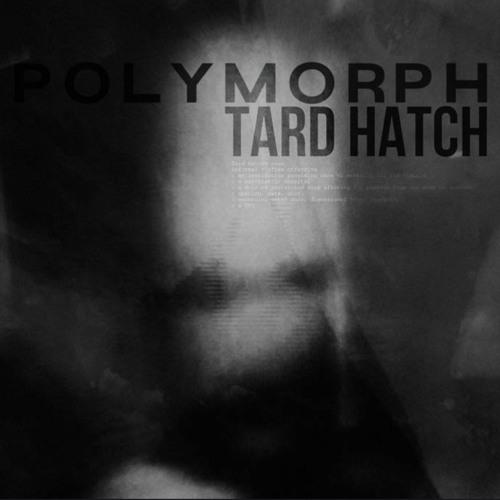 Stream Tard Hatch by polymorph | Listen online for free on SoundCloud