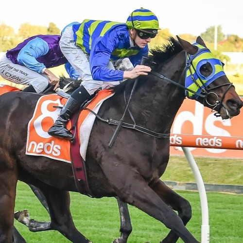 Stream Makybe Diva Stakes Day Punting Preview by The Racing Show ...