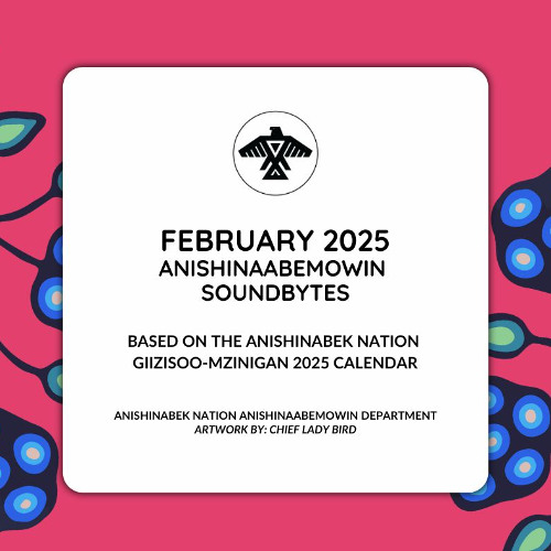 Stream Anishinabek Nation | Listen to February 2025 Anishinaabemowin ...
