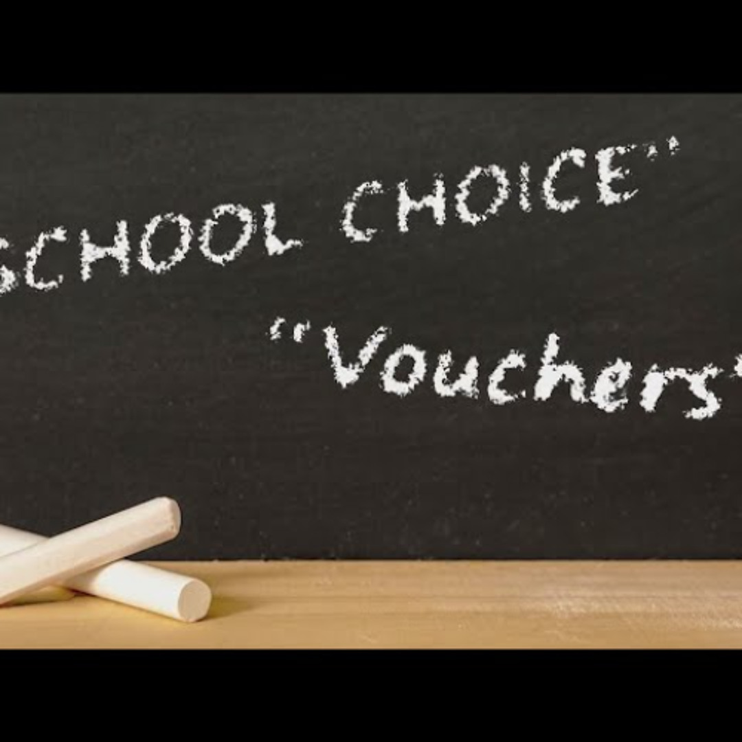 Stream School Choice & 2025 by Indy Politics | Listen online for free ...