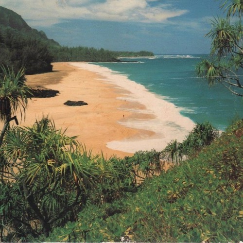 Stream Lil Tecca - Blessing (House Remix) [Free DL] by Hayes | Listen ...